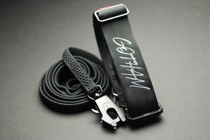 A Step-By-Step Guide to Designing Your Dog's Perfect Custom Collar ...