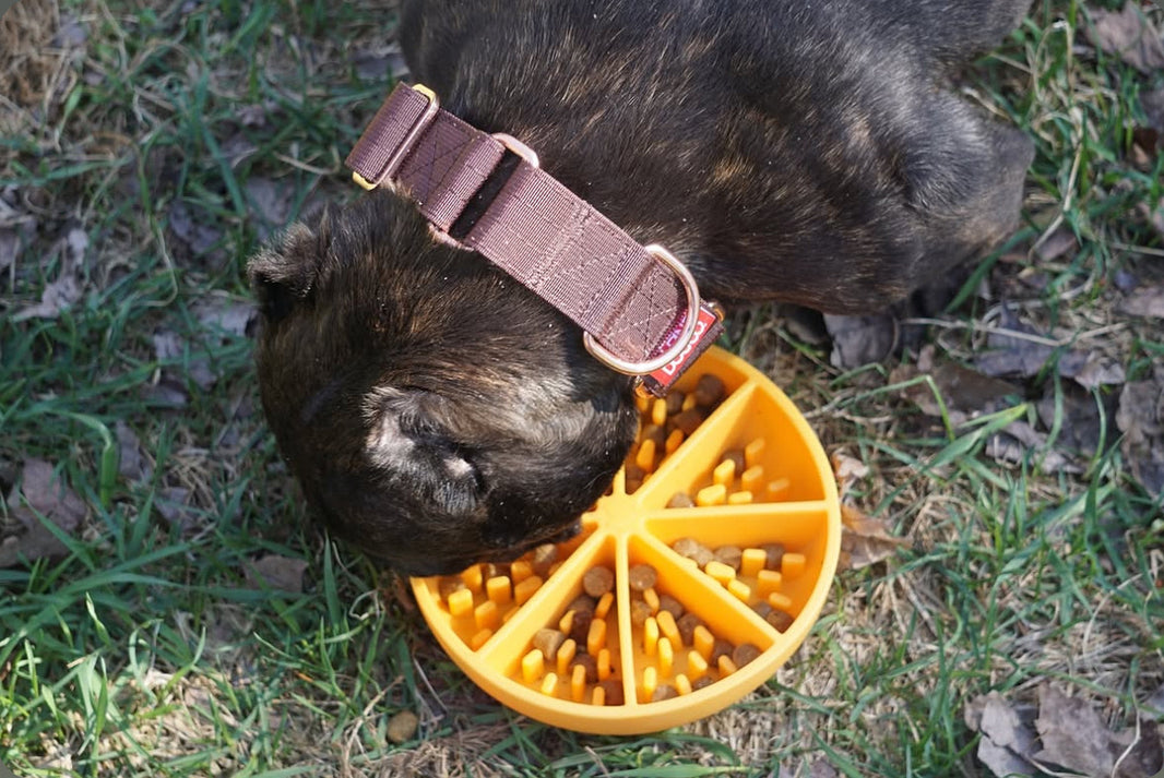 Products – Alpine Dog Co.