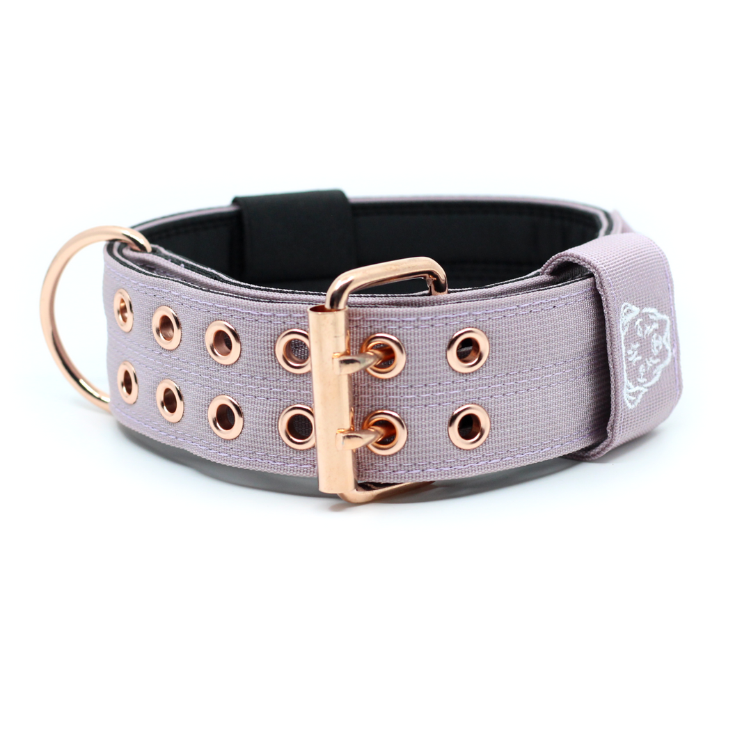 EXPEDITION COLLARS – Alpine Dog Co.
